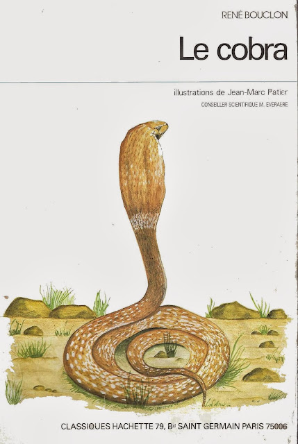 Leçons de choses: Le cobra