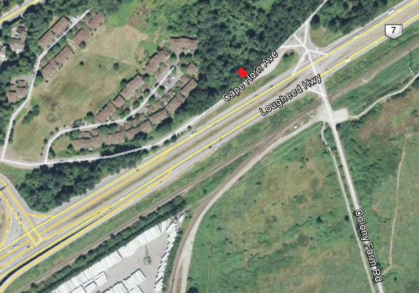 Riverview,(Essondale) Hospital past, present & future