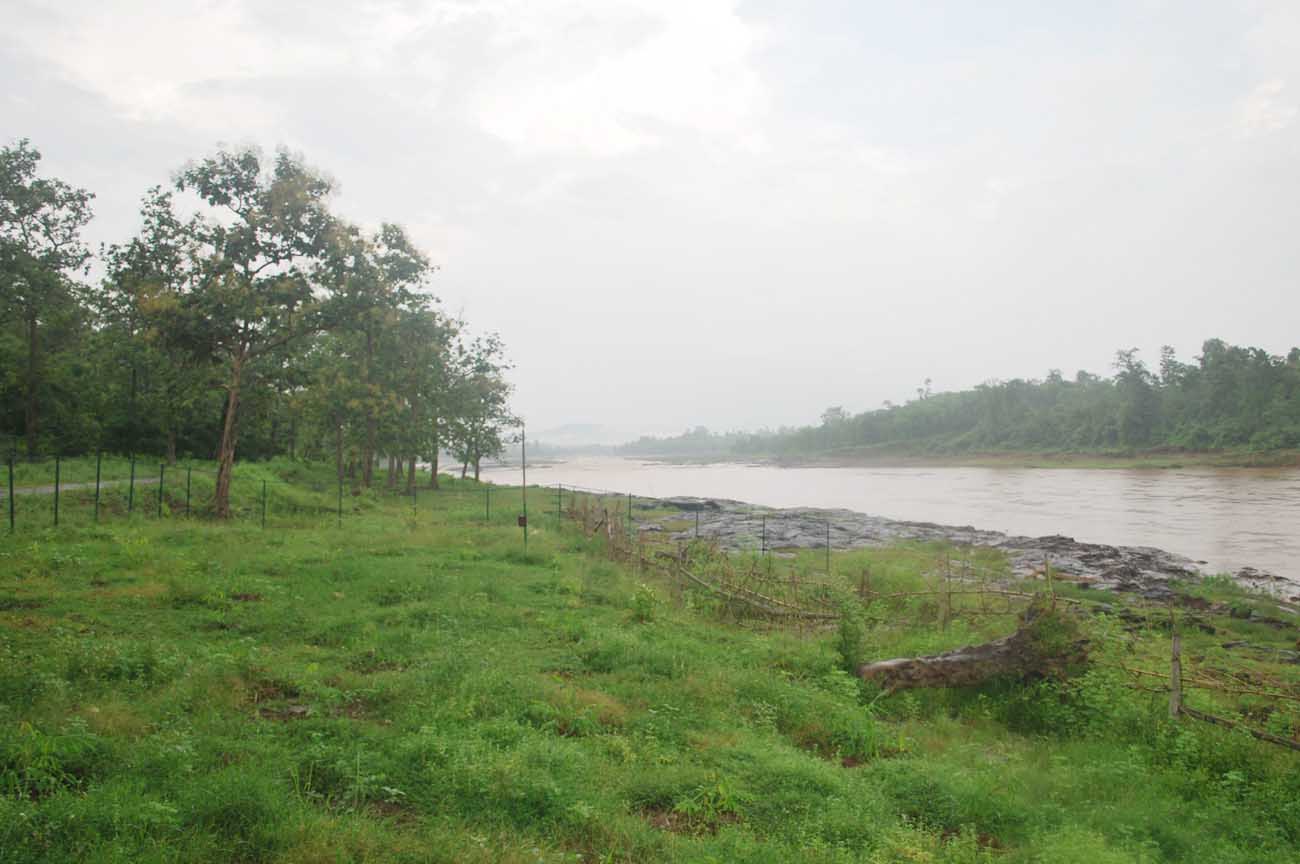 Gujarat Ghumo: Padamdungari Eco Campsite