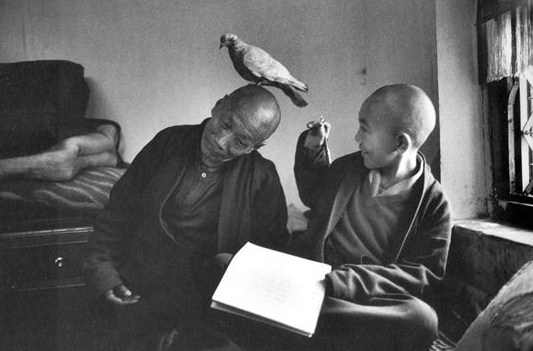 DESPERTANDO A UN NUEVO MUNDO: TULKUS