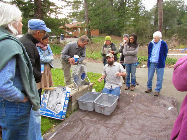 Seed Revolution Now!: Working Together To Build The California Seed Network