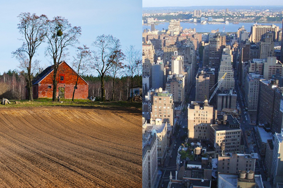 Differences Between City Life and Country Life