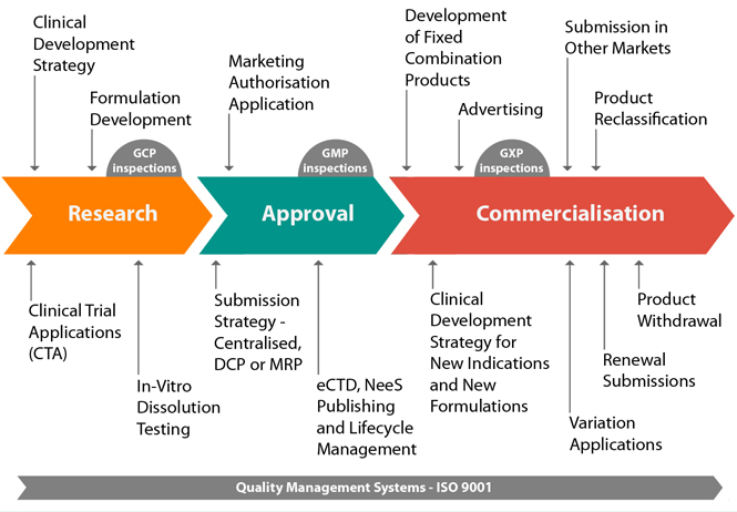Registration Process In Different Countries