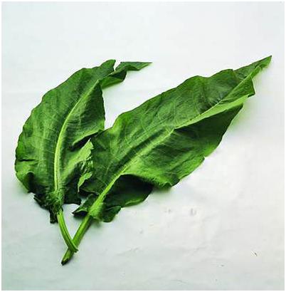 Tarım Siteniz: Labada Çeşitleri