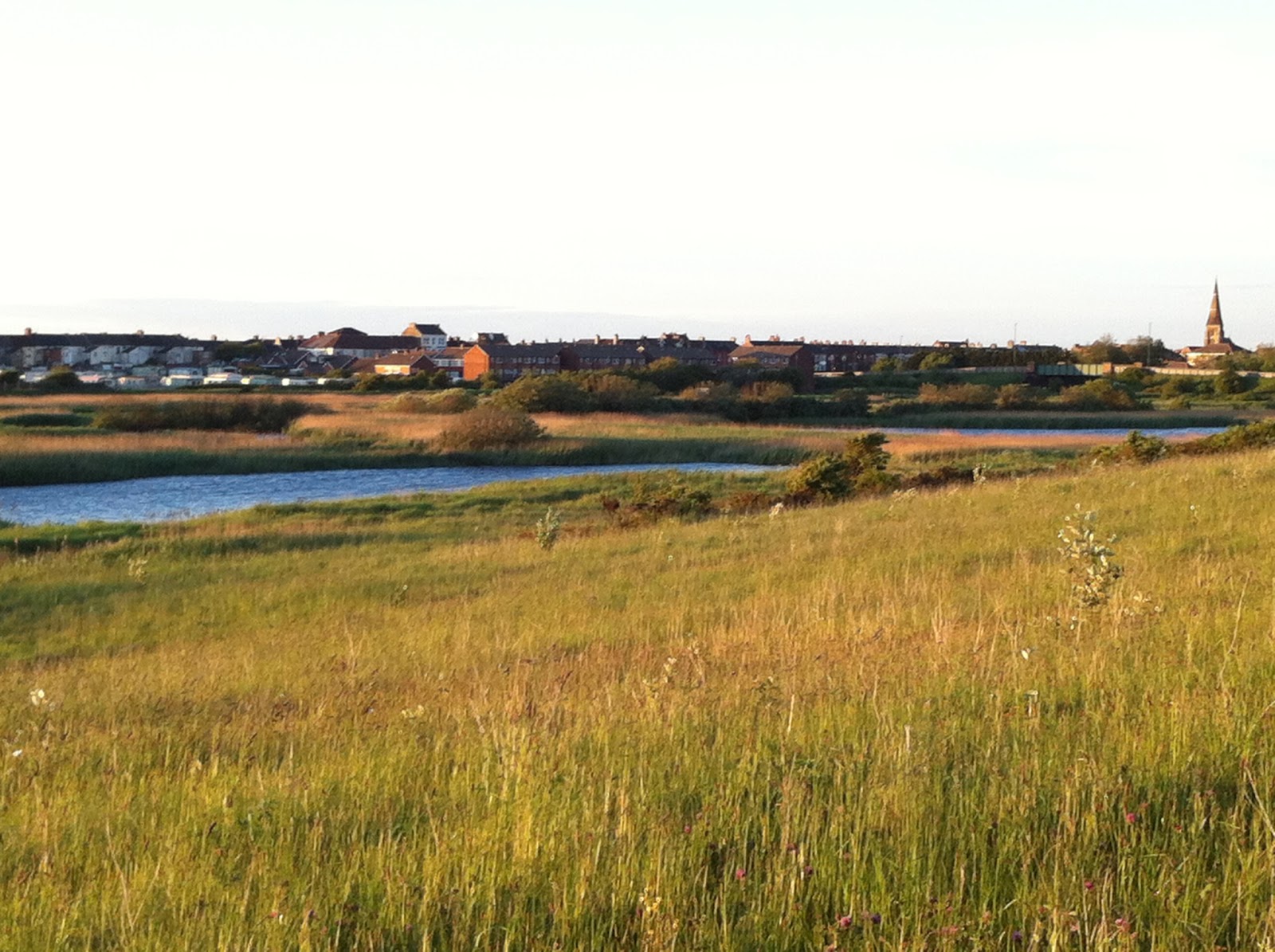 Redcar, North Yorkshire, UK.: Coatham Marsh Nature Reserve images