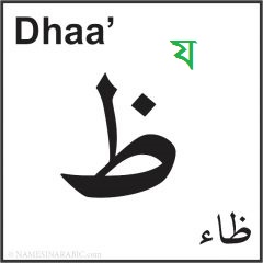 Easy Arabic Alphabet Letters learning for the Quran reading