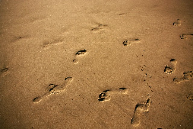 The Corner View: Fading Footsteps