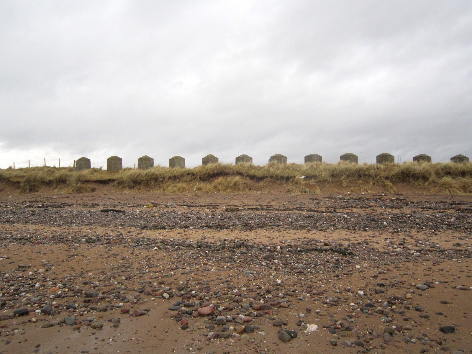 coastrider: Day Trip to Carnoustie...