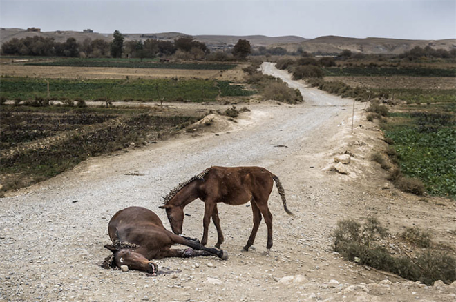Lars Dareberg: Asger Ladefoged