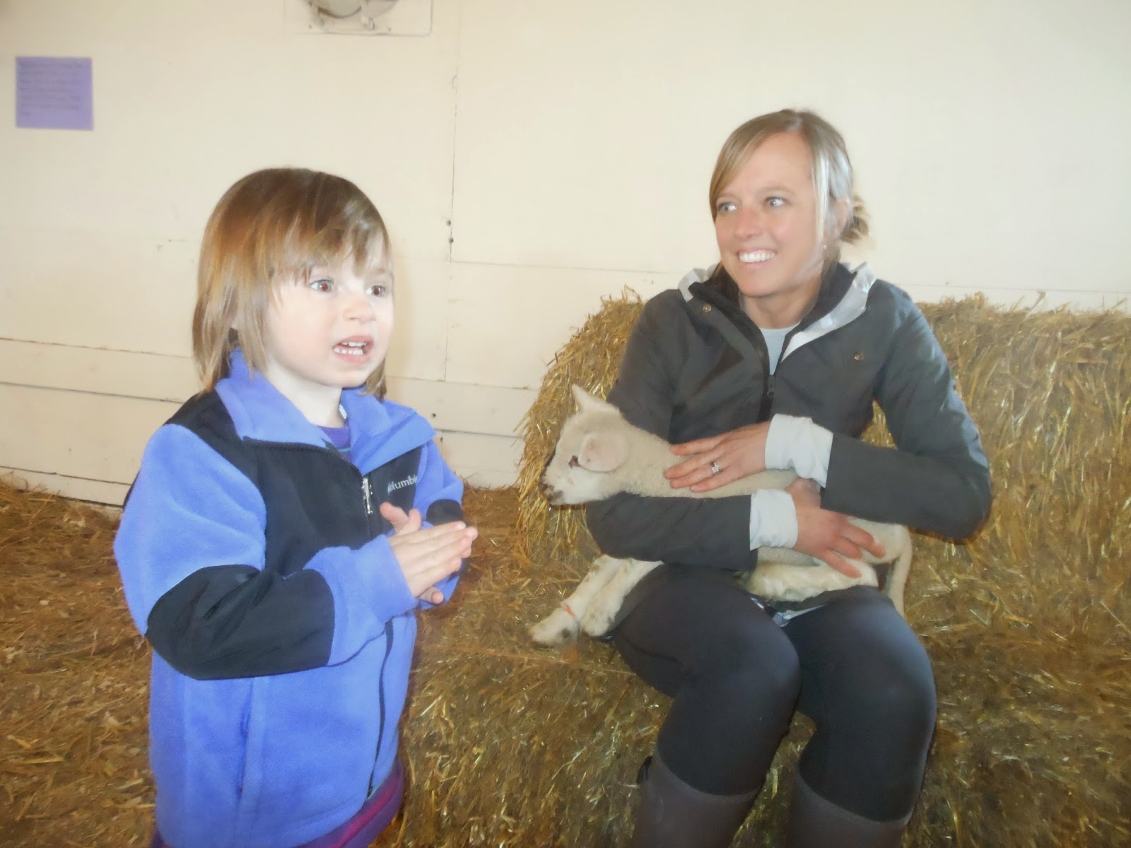 The Risler F*A*M*I*L*Y