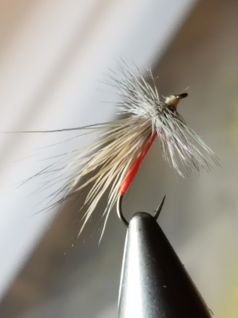 Flies, Fat Tires, Family: Ramblings on learning...: Antlers, flies and ...