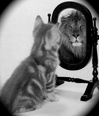 Il Percorso Profondissimo: La Legge dello Specchio