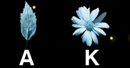 Fringe Glyph Code in "Letters Of Transit" ~ Fringe Television - Fan ...