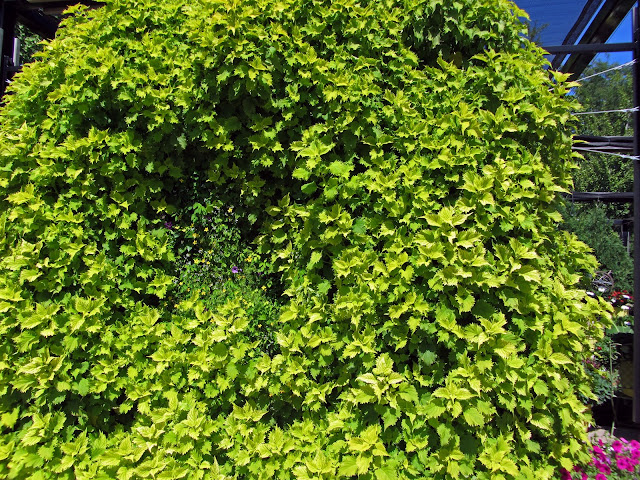 Gatsbys Gardens: How Does Your Garden Grow (Part 2)