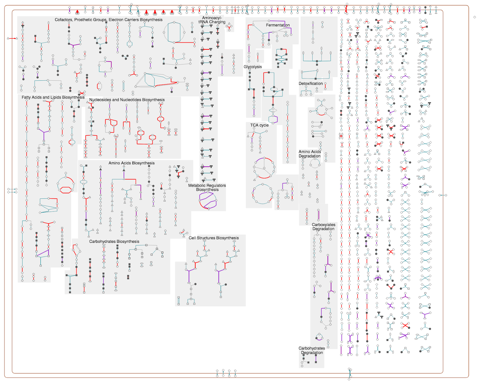 BioCyc and Pathway Tools Blog: Pan-Genome PGDBs Unify Genomic and ...