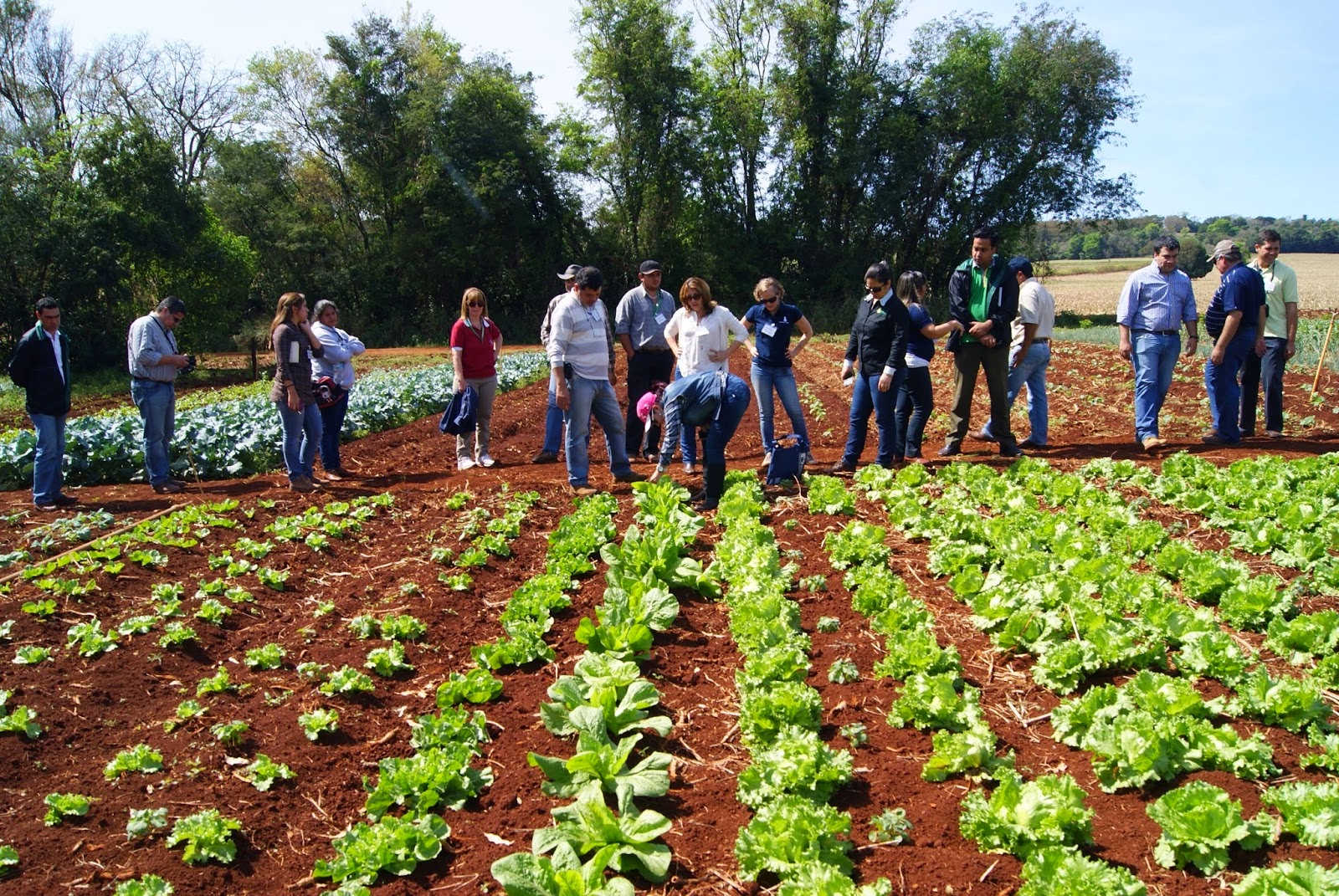 Técnicos/as de la DEAg, se capacitan en el Brasil