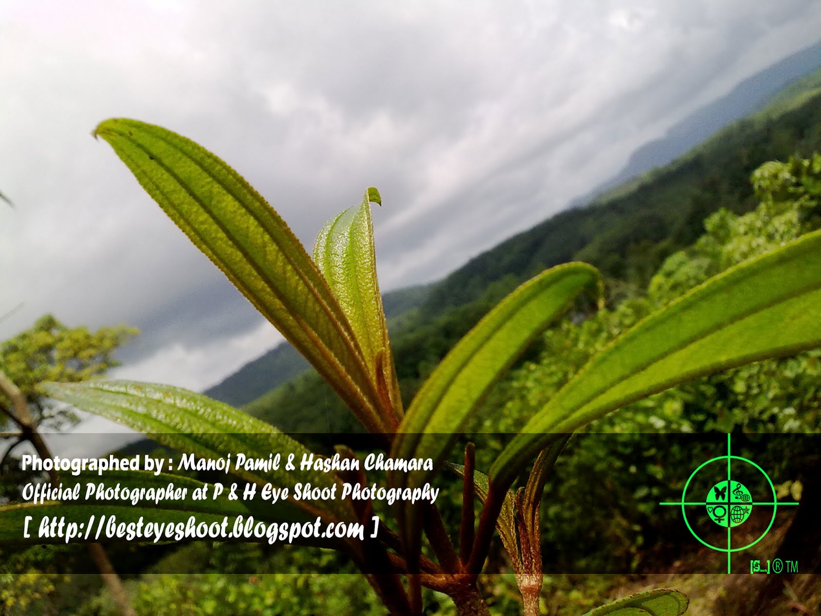 Sri Lanka Best Nachural Photography P & H Eye Shoot Photography - P & H ...