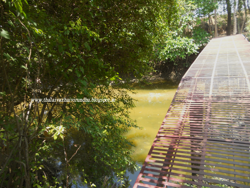 தலைவாழை விருந்து : சாப்பிடுவோமா....சமைக்காத உணவு...