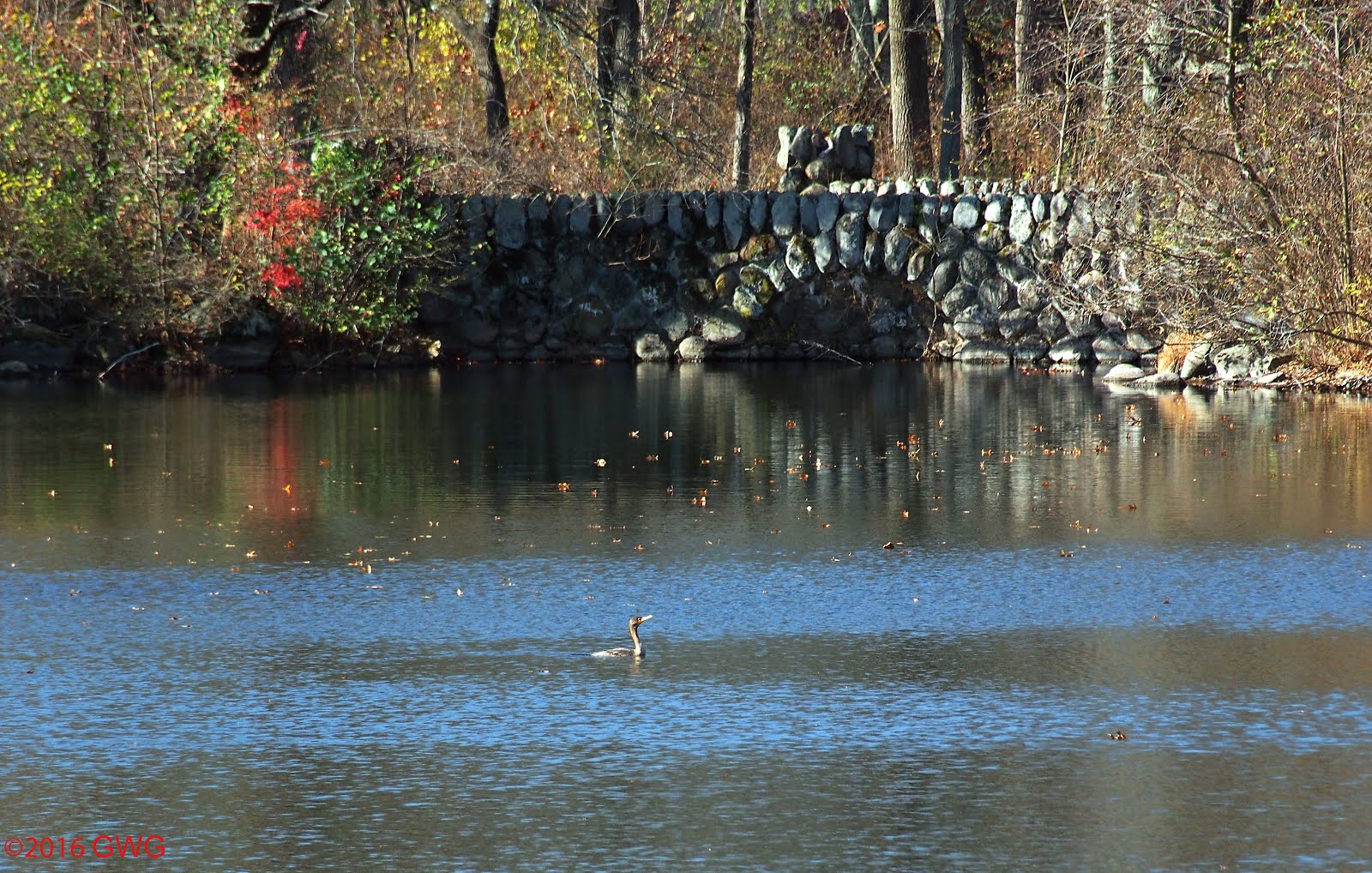 Gillette On Hillsborough: Duke Farms Autumn