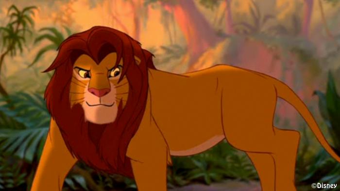 ¡ EXPLOREMOS LA NATURALEZA !: EL REY DE LA SELVA