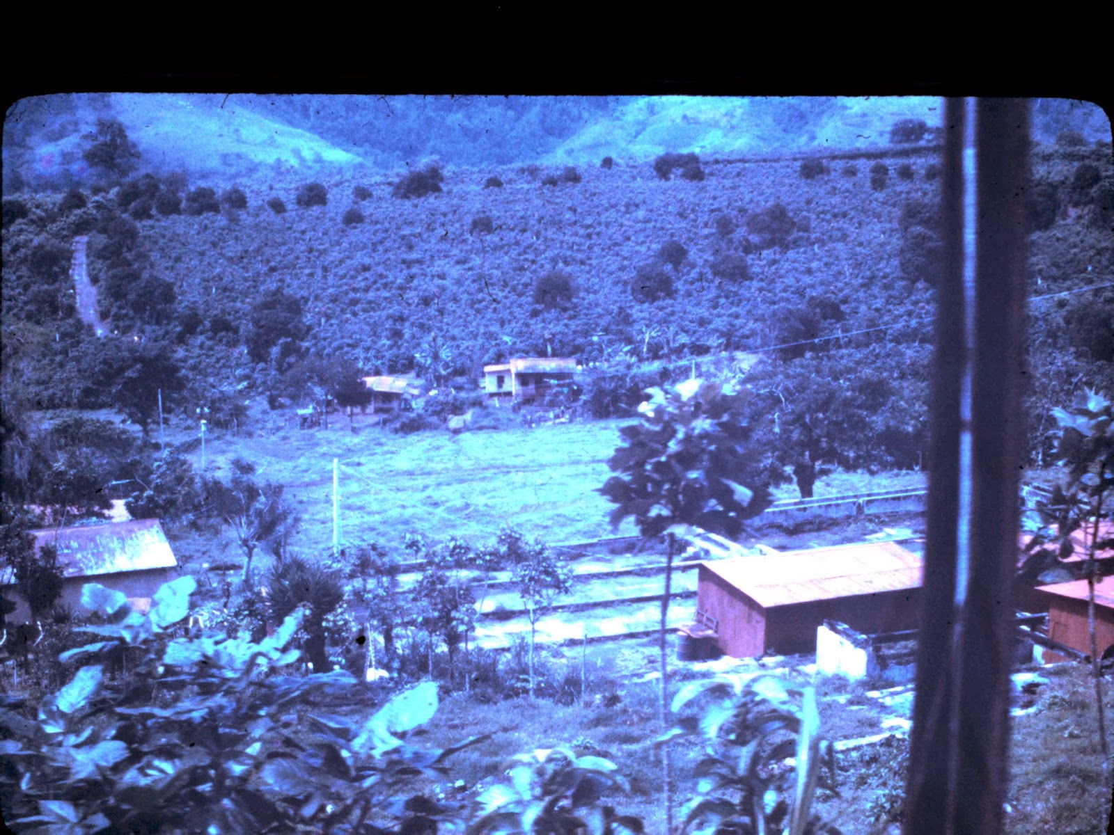 Costa Rica 1977 SBT=StoneBearTracks: Costa Rica Jungle Train to Limon ...