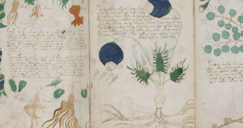 The first ever copies of the 'world’s most mysterious book' are about ...
