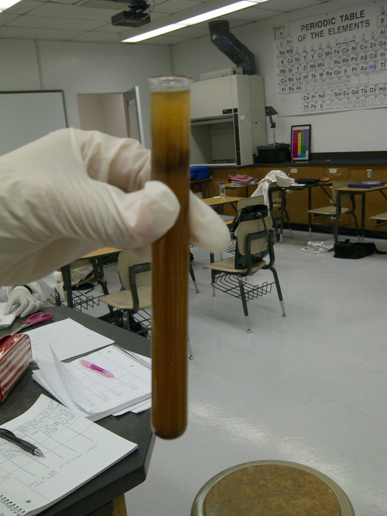 Chemistry Blog: Foul Water Lab Report