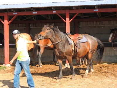 Teena in Toronto: Horseback riding at Broadleaf Ranch, NB