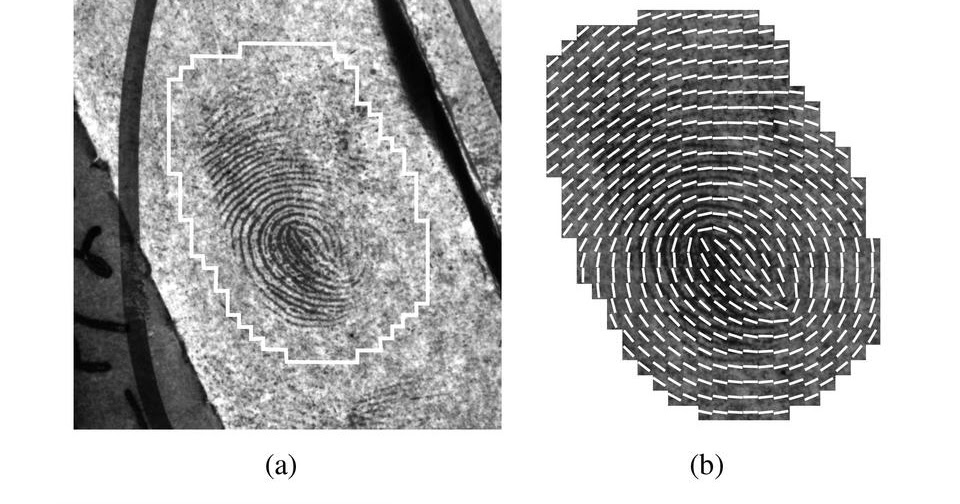 Live Scanning The News New Breakthrough Improves Key Step In Forensic live-scanning-the-news-new-breakthrough-improves-key-step-in-forensic