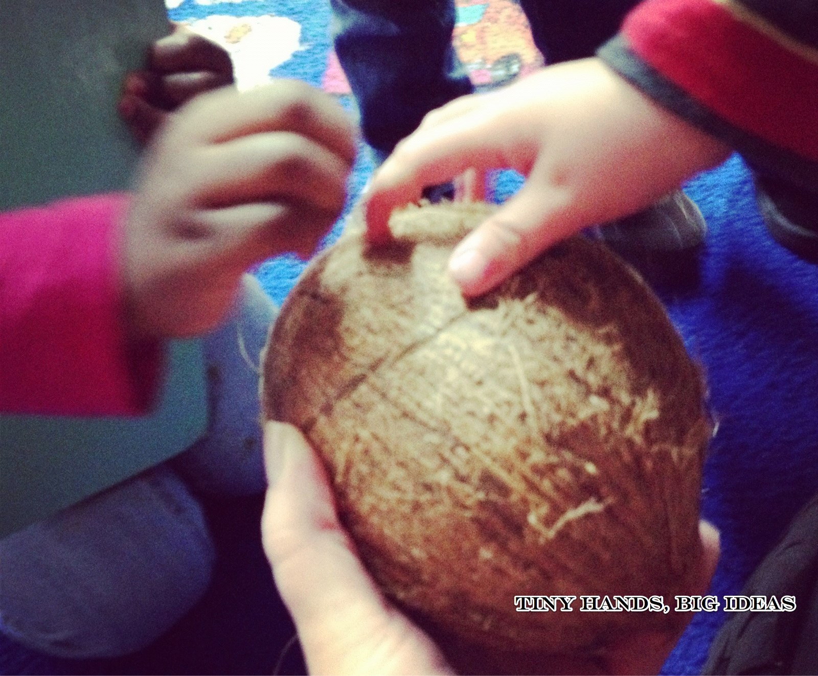 Tiny Hands, Big Ideas: Chicka Chicka Boom Boom, Welcome to our Toddler ...