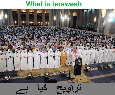 What is taraweeh kia hoti hein Taraweeh Padhne Ka Tarika ~ Watch And Learn