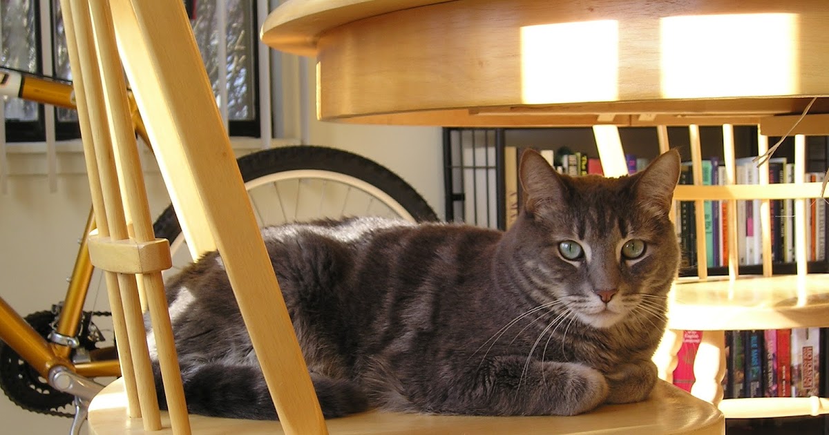 "Billy the Kit" - 2000-2012 ~ Irtiqa