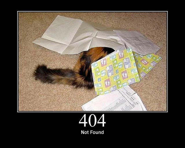 MiezaMém: cat meme macska mém