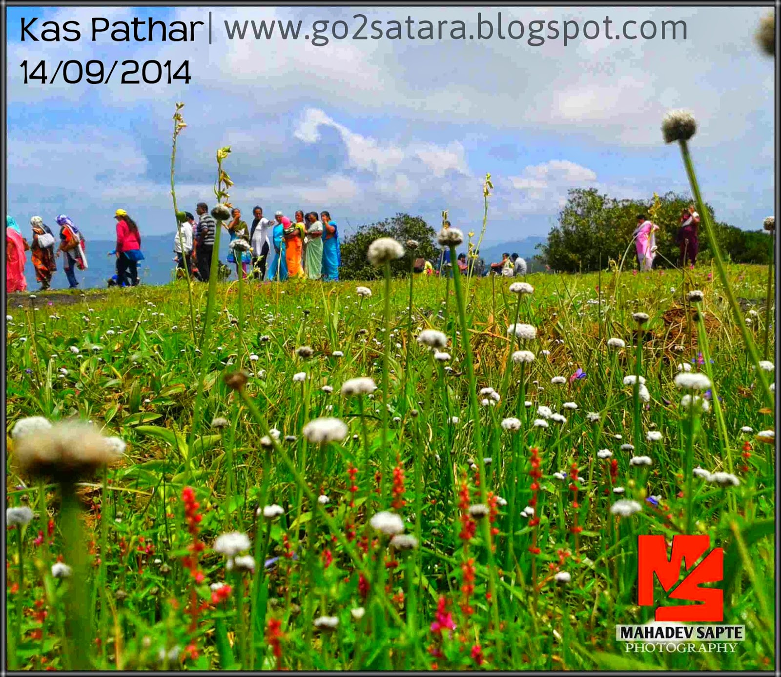 Satara - Mahabaleshwar - Pratapgad - Thoseghar -Kas Pathar & Sahyadri ...