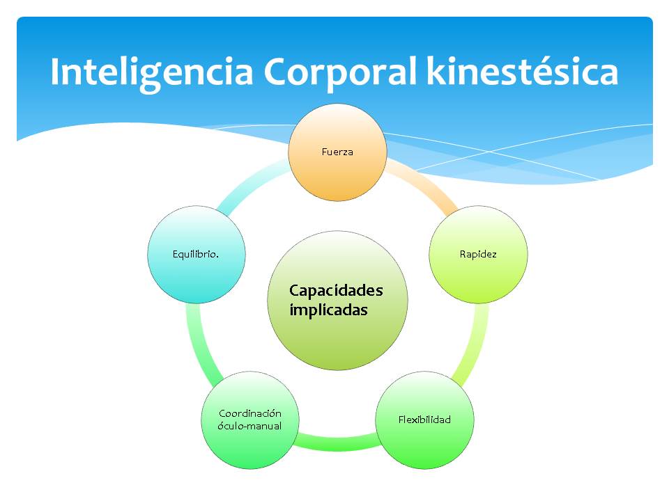 INTELIGENCIA MULTIPLES: INTELIGENCIA CORPORAL KINESTÉSICA
