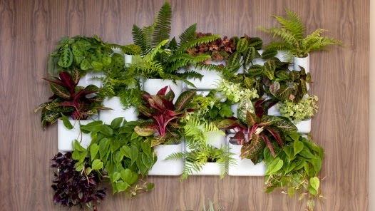 PLANTER WALL @ TANAMAN DINDING ~ Rumah Idaman