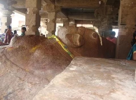 The Realistic Indian: Ever growing Nandi (Bull)