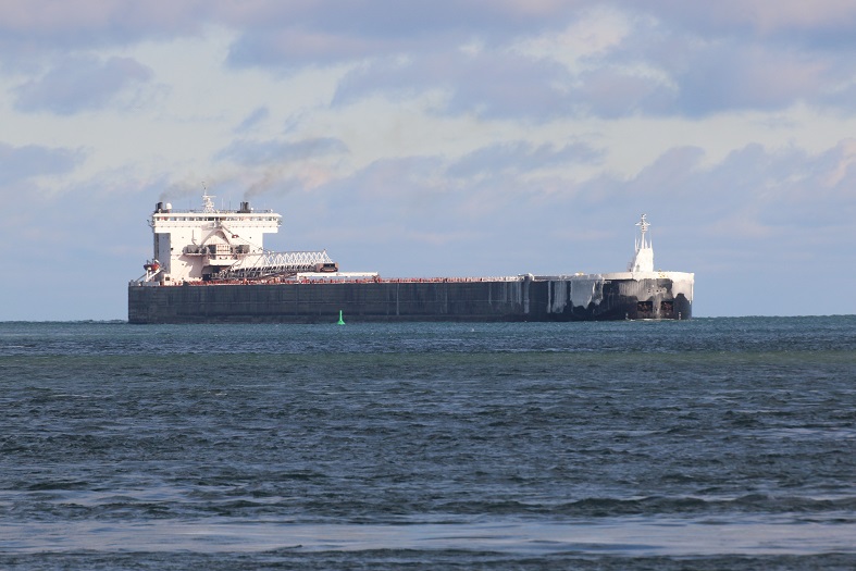 Michigan Exposures: And the American Integrity