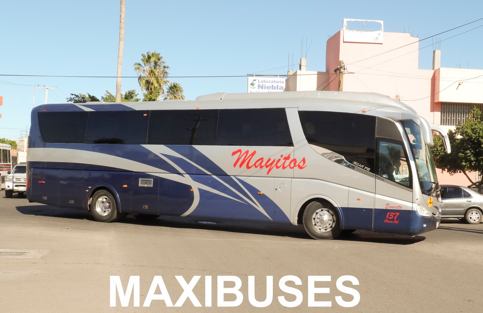 MAXIBUSES: AUTOBUSES LOS MAYITOS