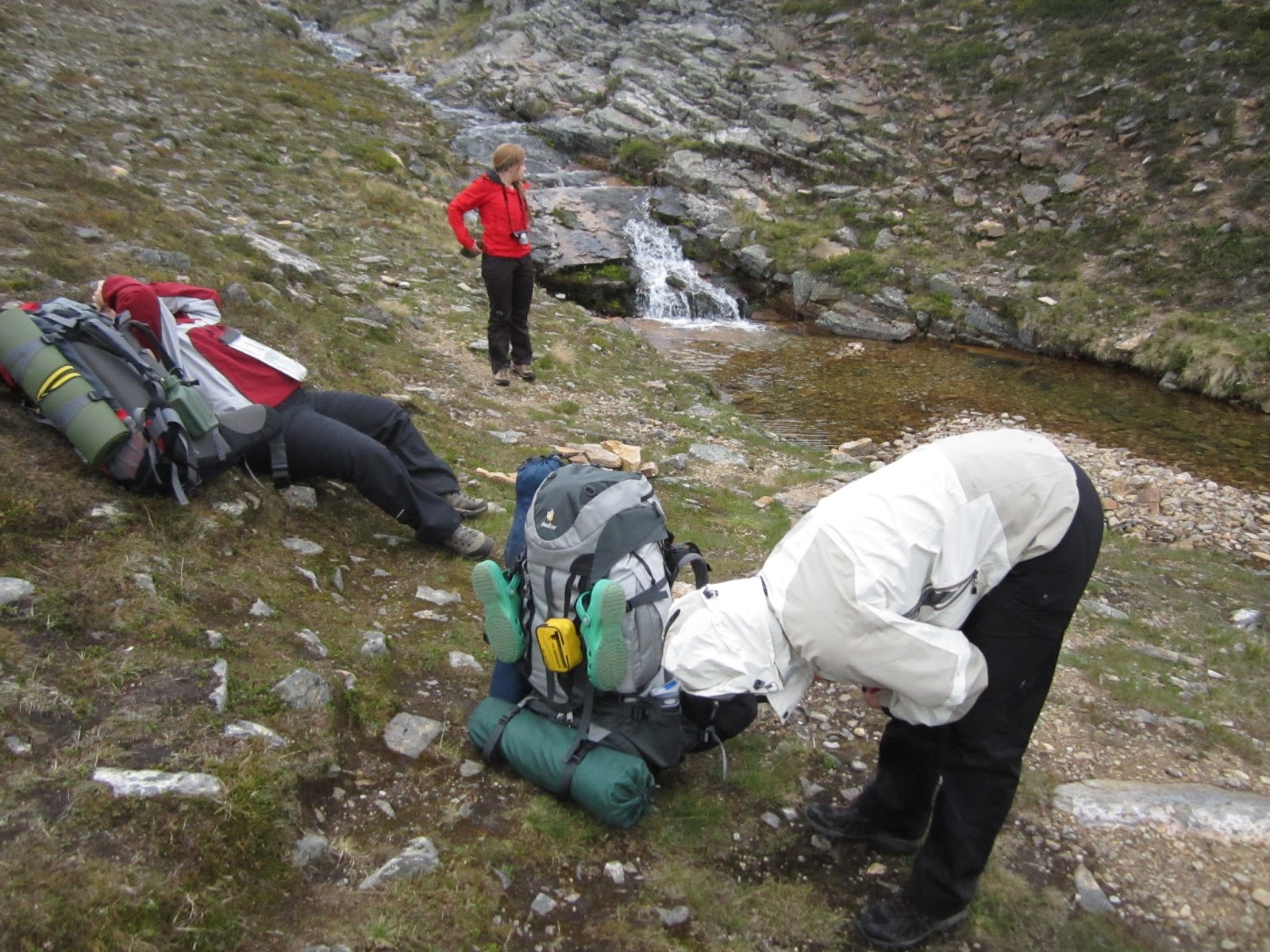 Juokseva basiliski: Kevon vaellus + Guivi-tunturin valloitus