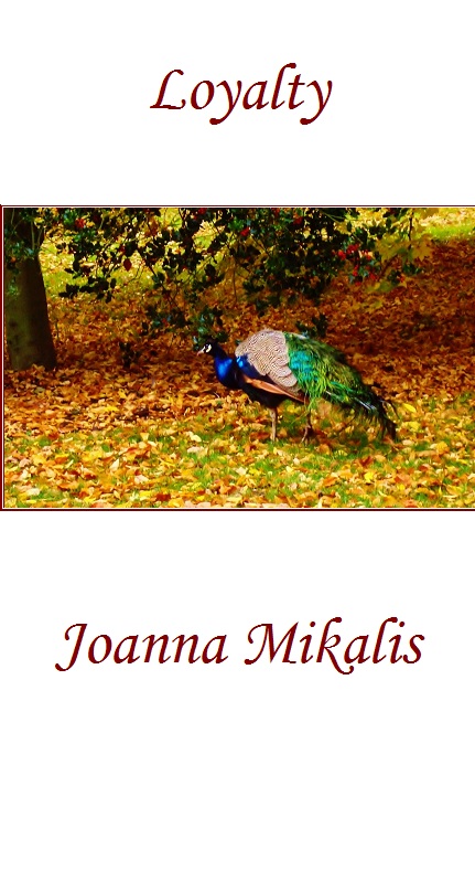 Joanna Mikalis: Loyalty