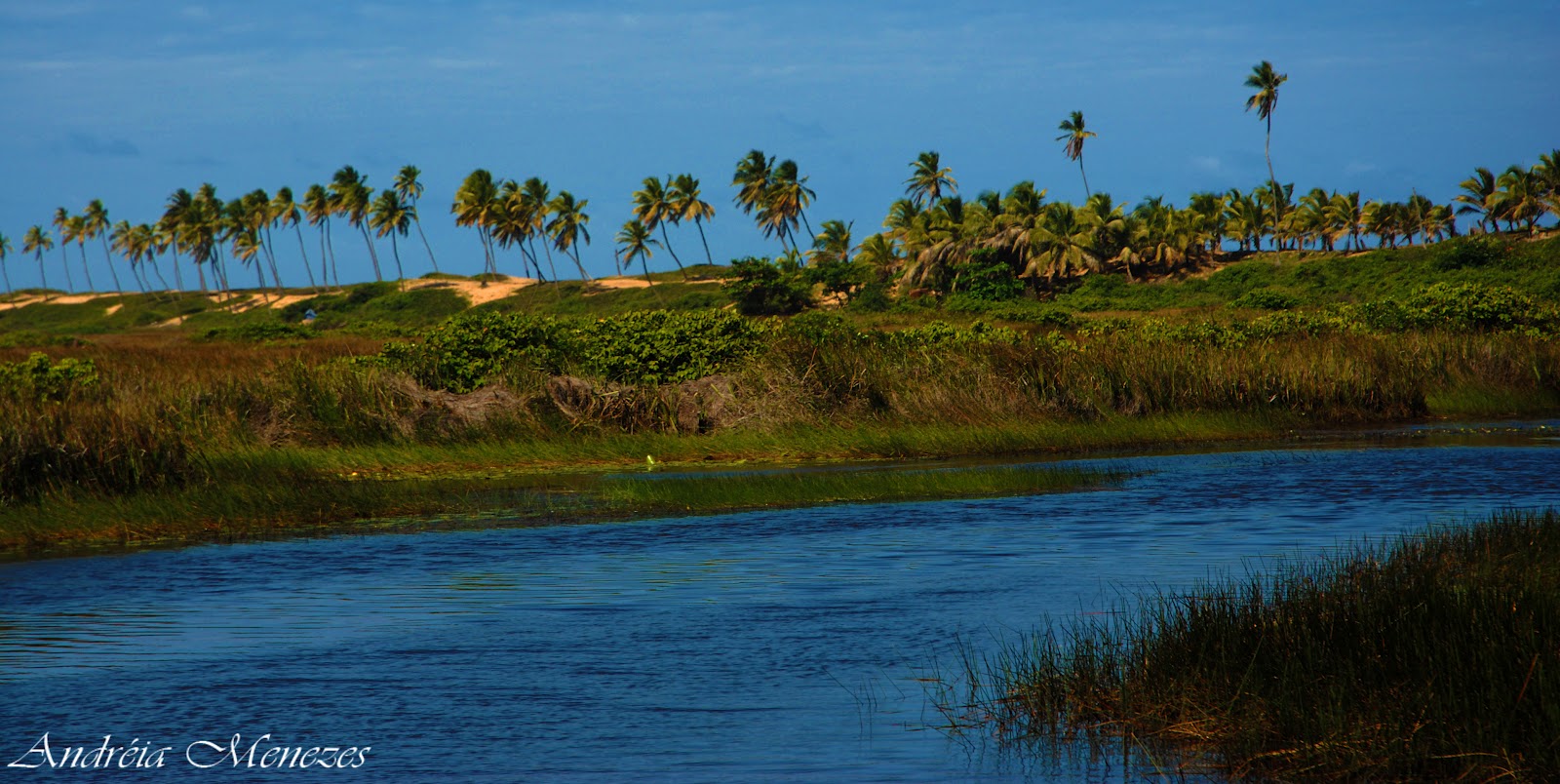 Minha Cidade: A Aldeia Hippie de Arembepe