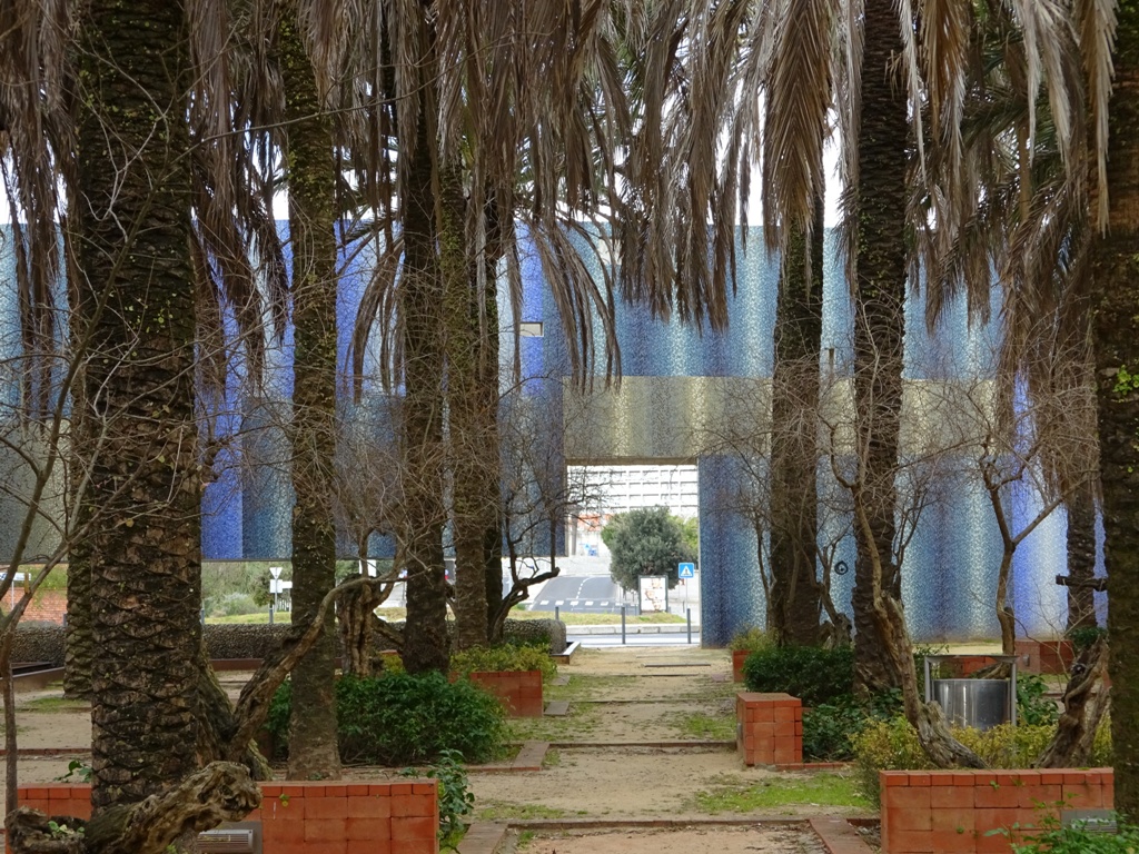 Divagar entre FLORES - ANIMAIS - NATUREZA: Romãzeira – Punica granatum