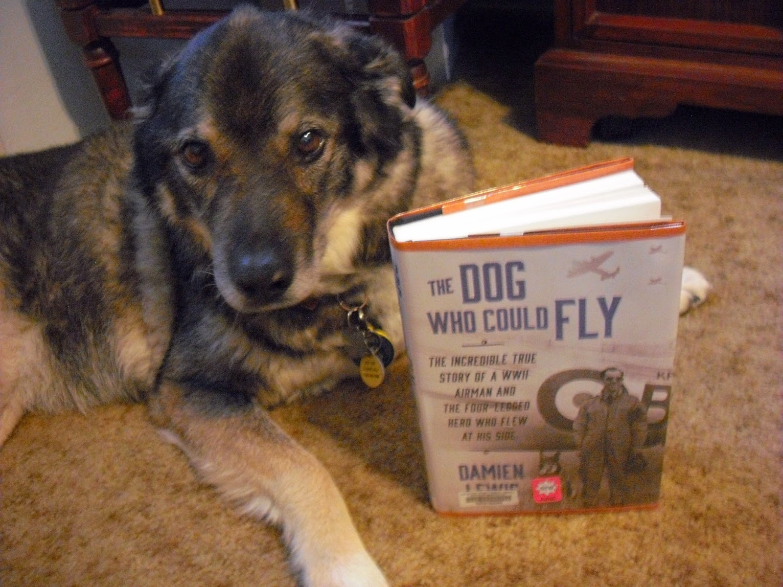 Grab A Book From Our Stack: "The Dog Who Could Fly" by Damien Lewis is ...