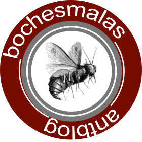 antblog: Gary Numan - Splinter (Songs from a Broken Mind)