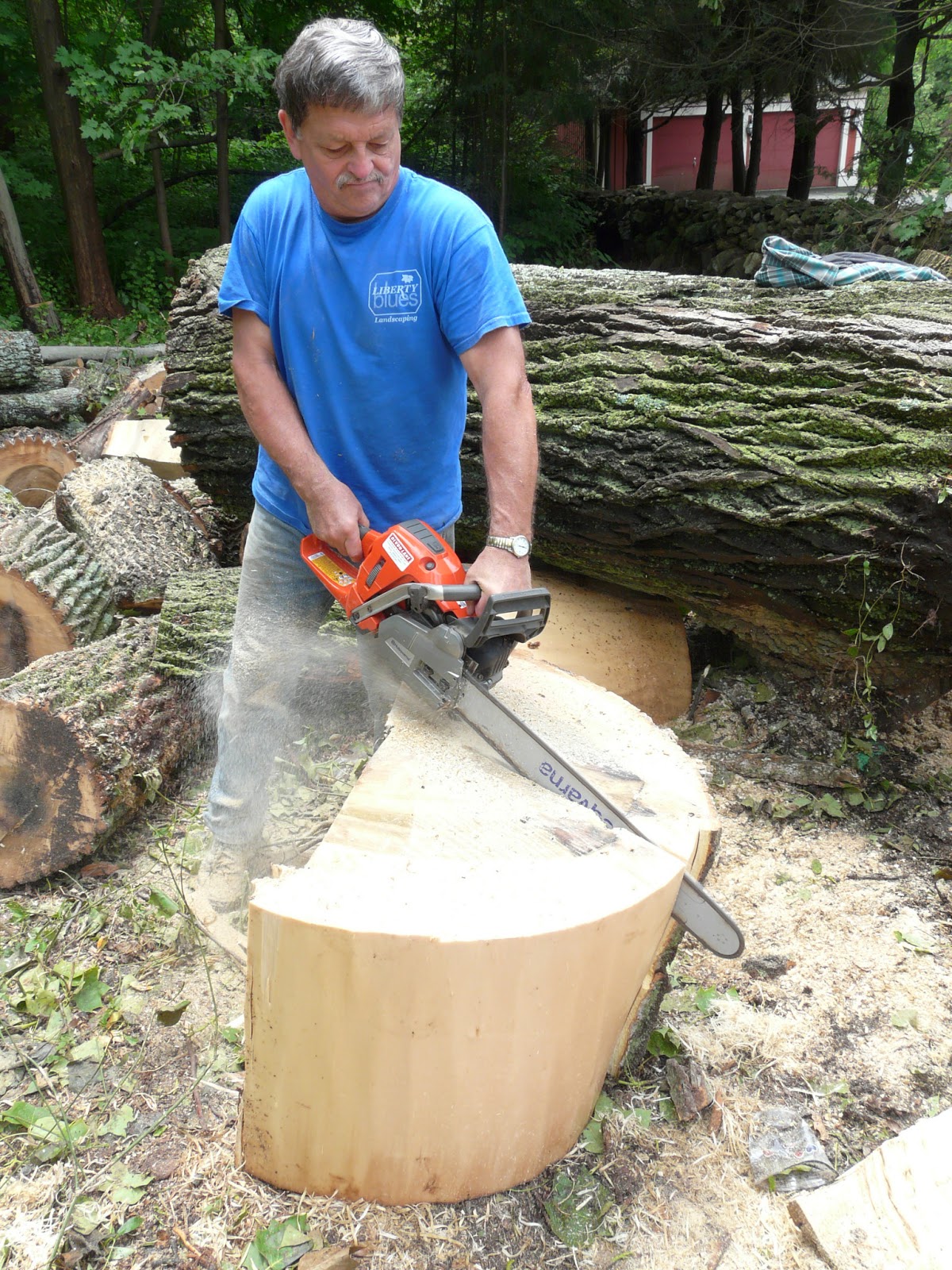 Timberturner + Bowlwood Woodturning: The Tulip Tree