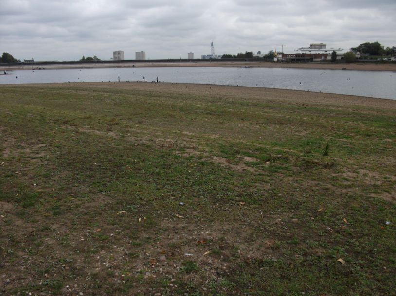 Vinnyman's Birding and Nature Blog.: Edgbaston Reservoir.