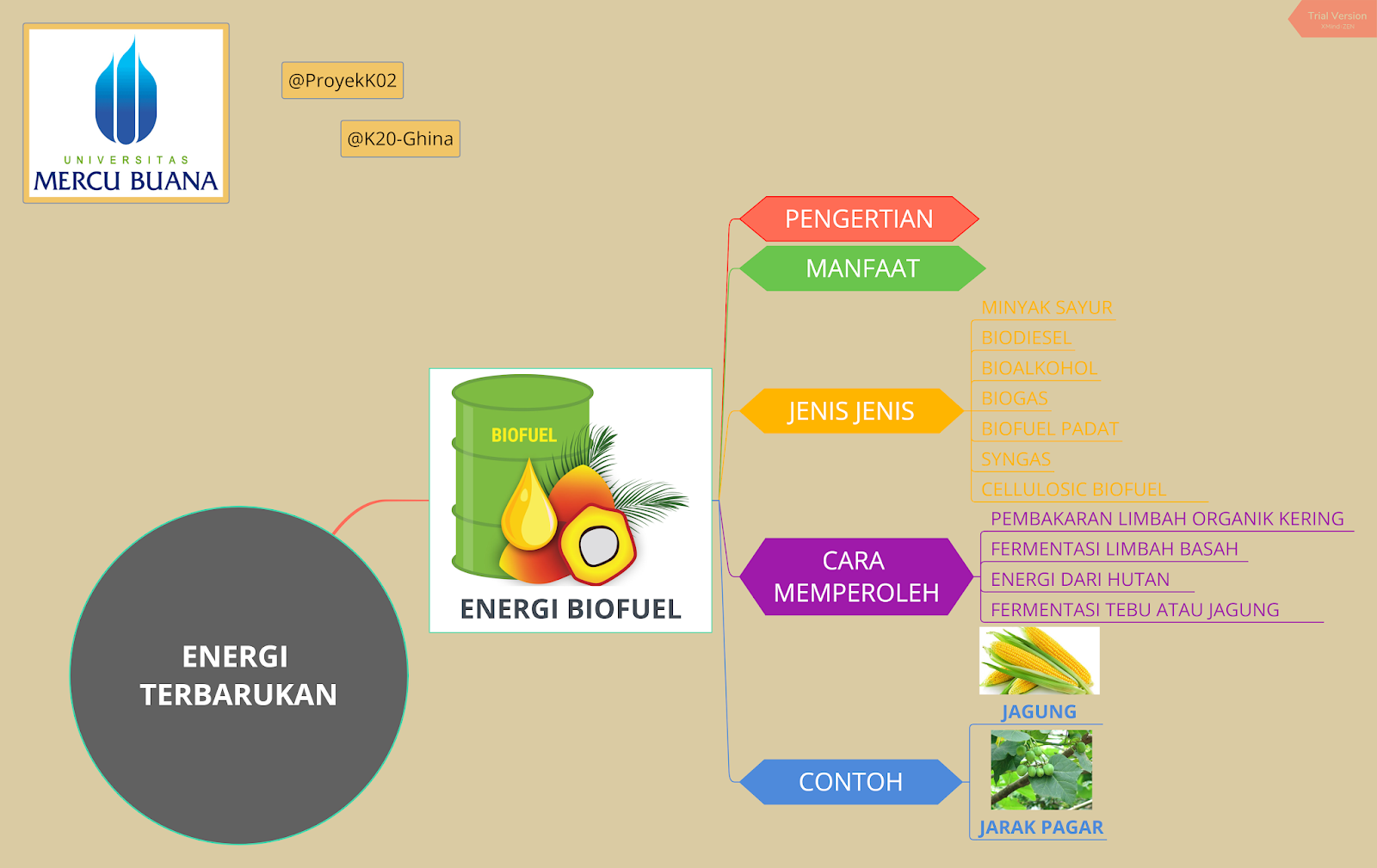 KimintekHijau.com: ENERGI TERBARUKAN : BIOFUEL