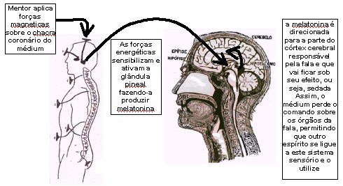 MEAB - Guarapari/ES: PSICOFONIA