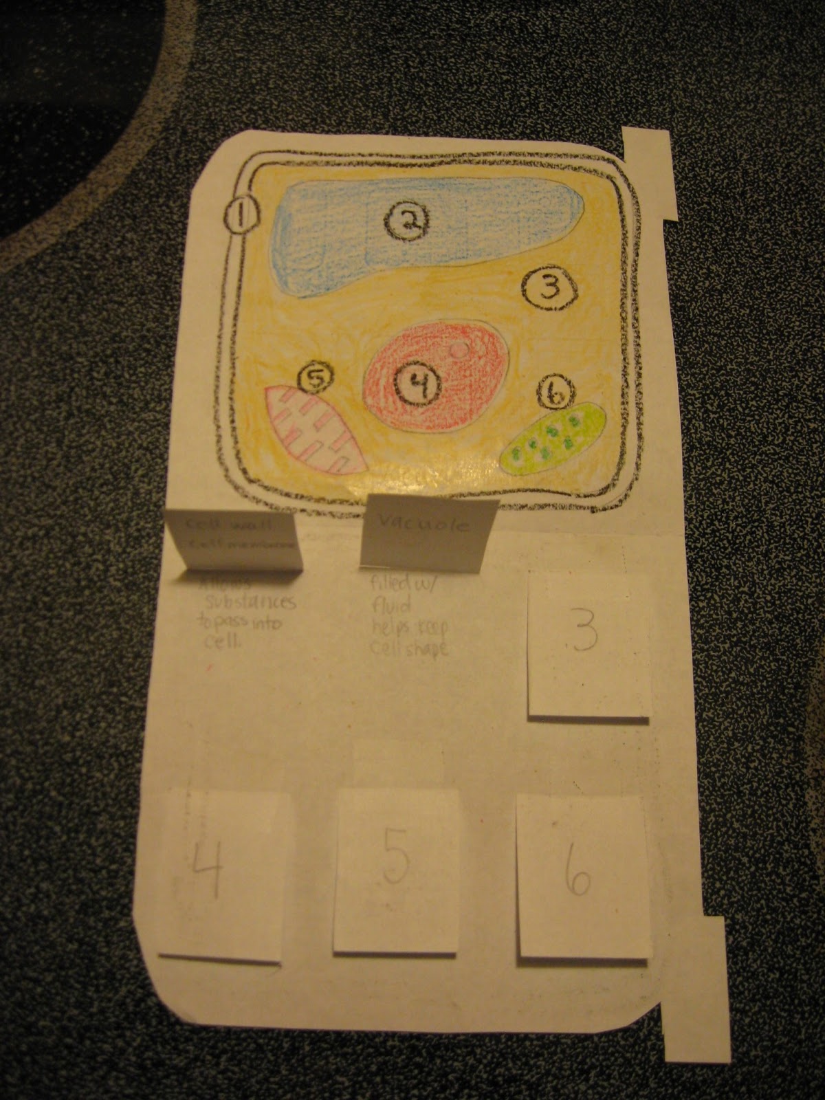 "Cell" Phone Attempt